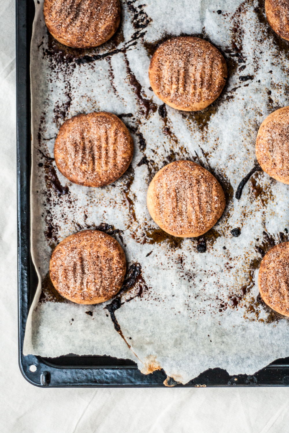 Swedish pepparkakor – Fanny Zanotti